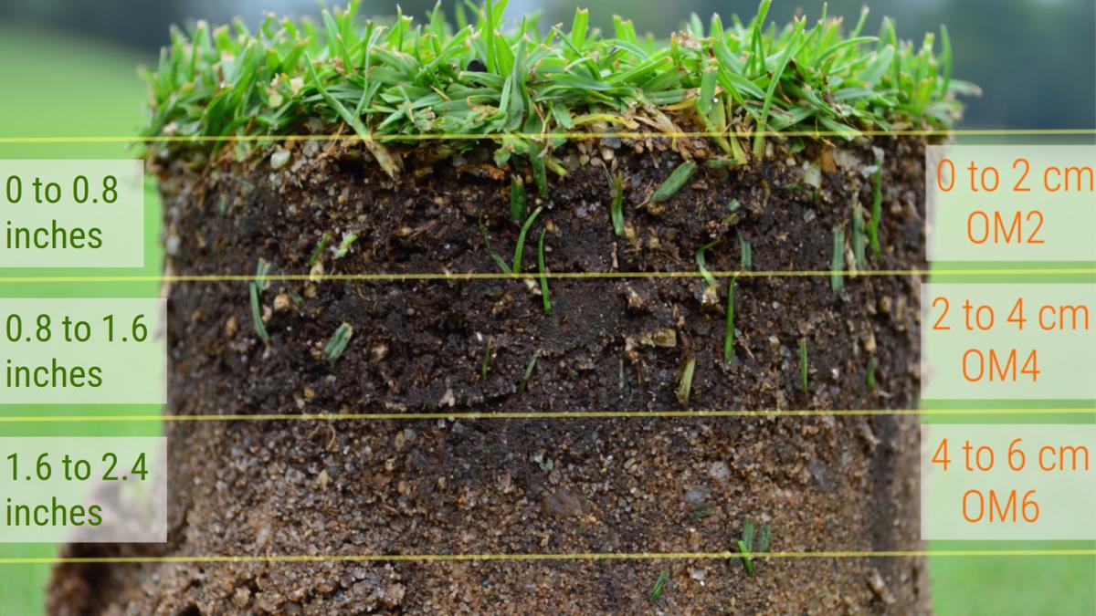 All the organic material | Asian Turfgrass Center