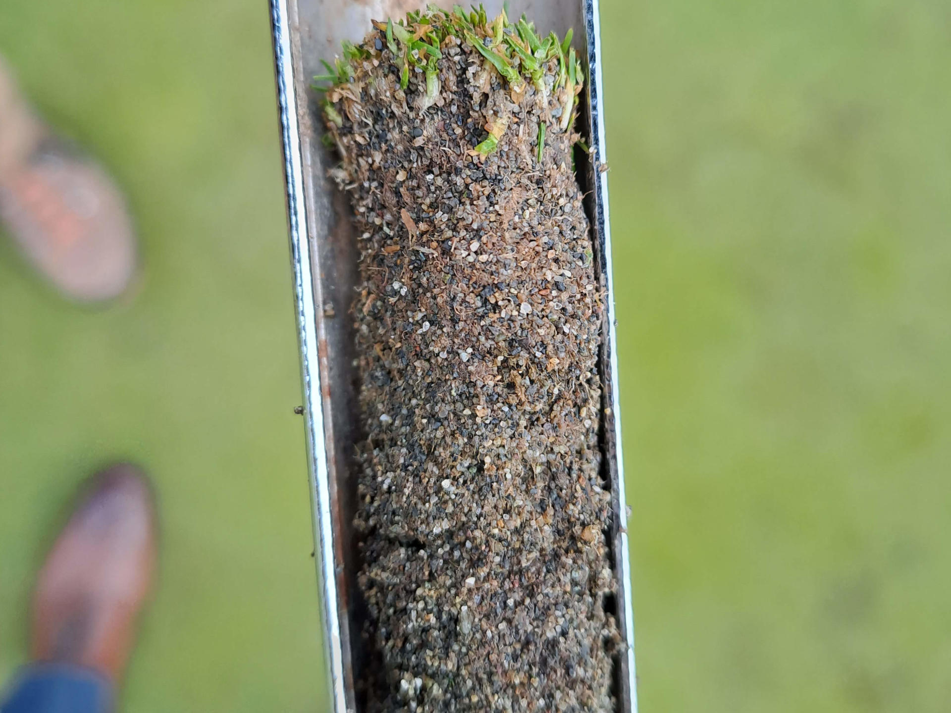 Ball roll after 270 rounds | Asian Turfgrass Center