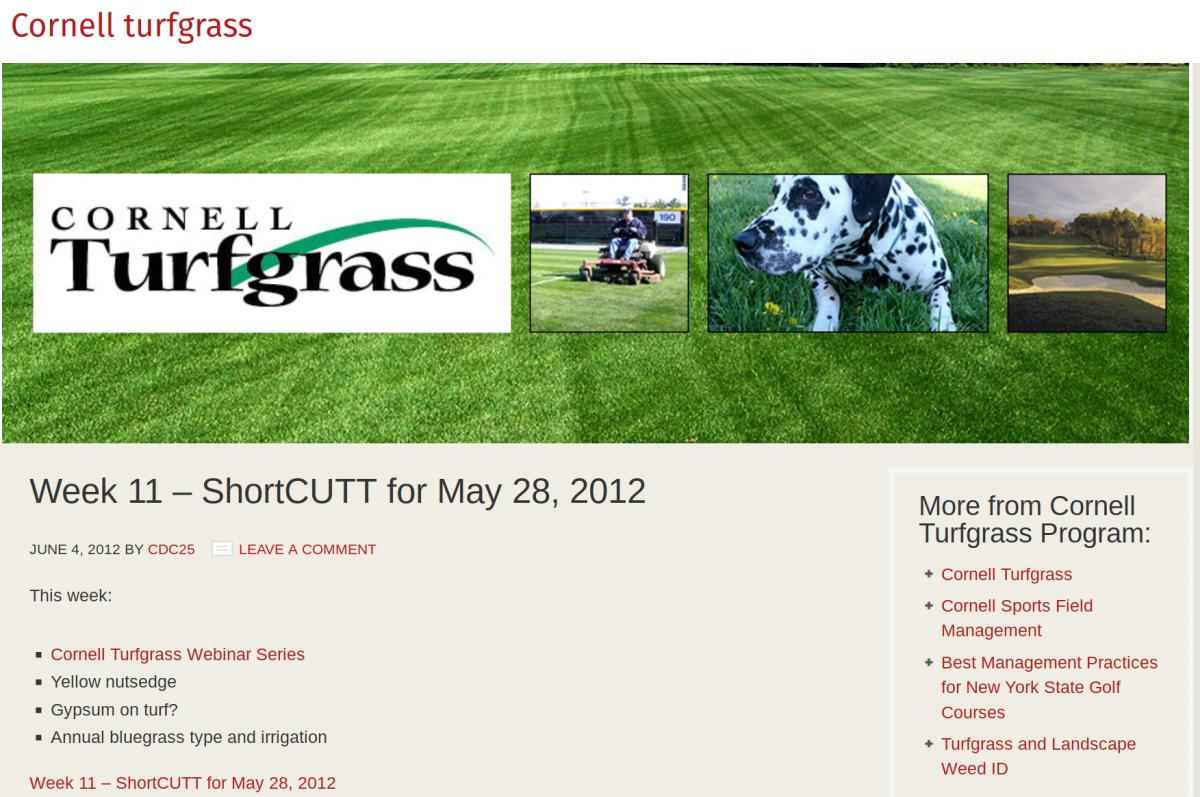 Calcium deficiency in turfgrass, an imaginary problem? | Asian ...