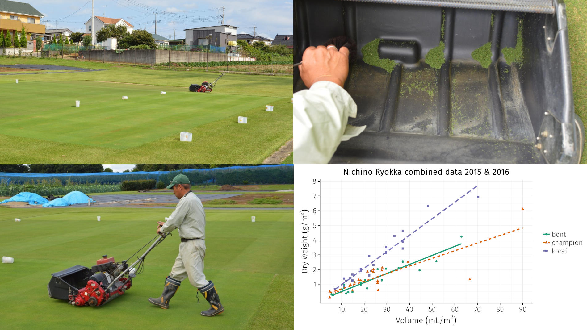 Converting clipping volume to dry weight | Asian Turfgrass Center