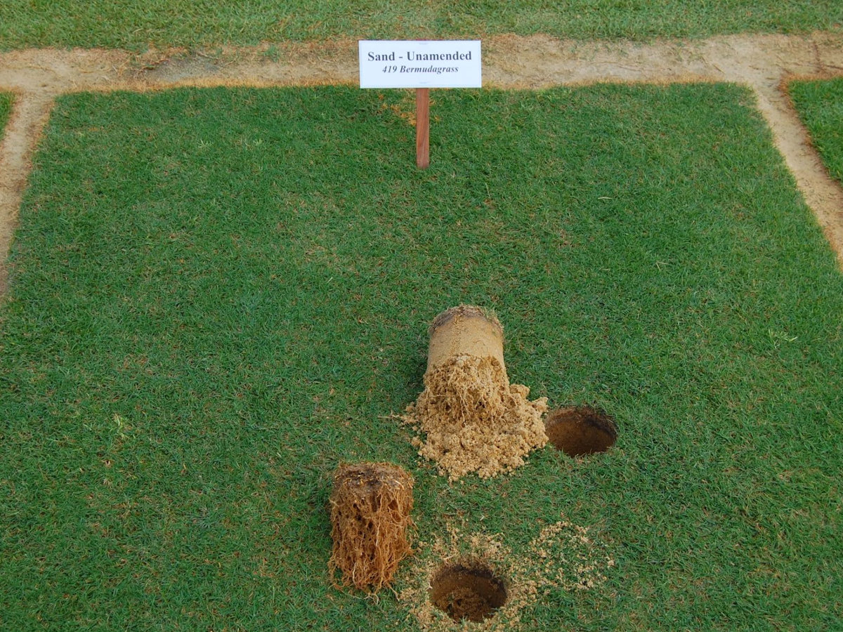 Does extra potassium improve bermudagrass performance when soil sodium ...