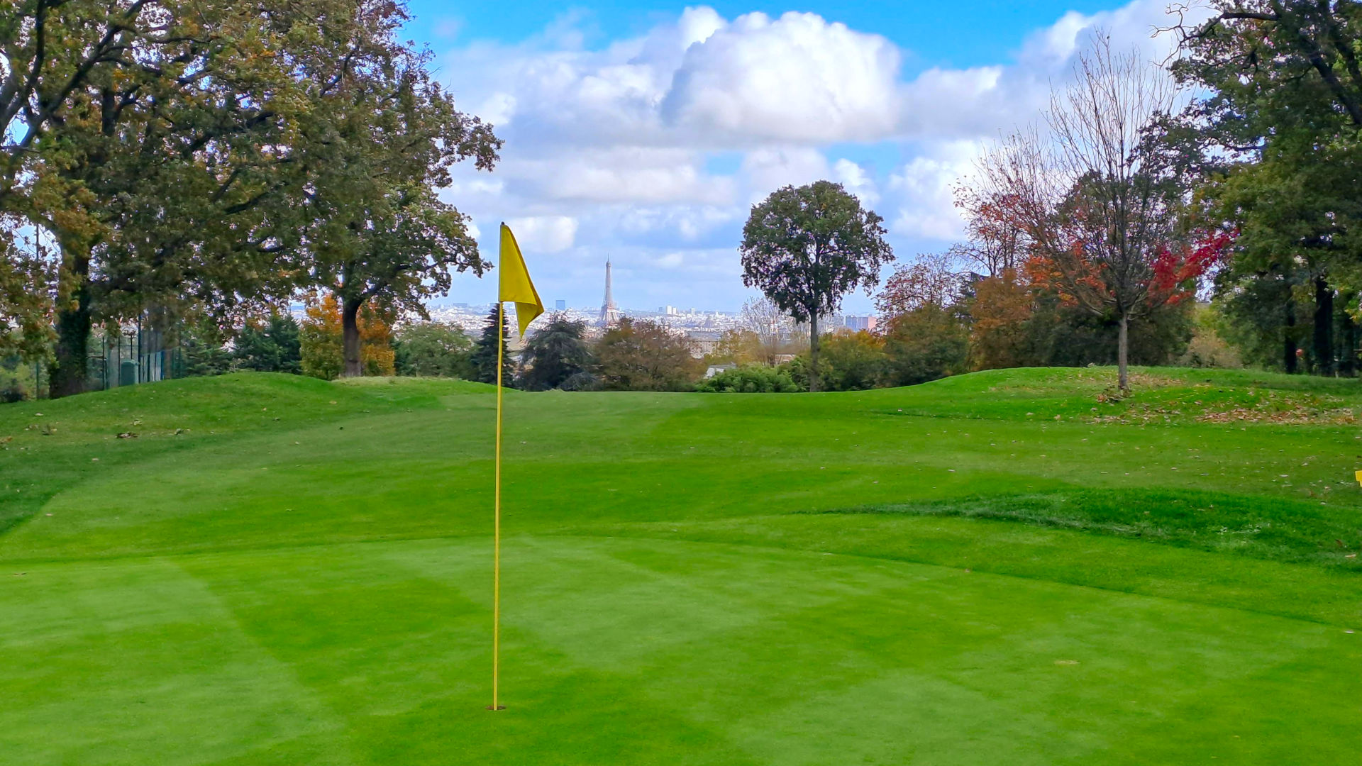 GvX clippings | Asian Turfgrass Center