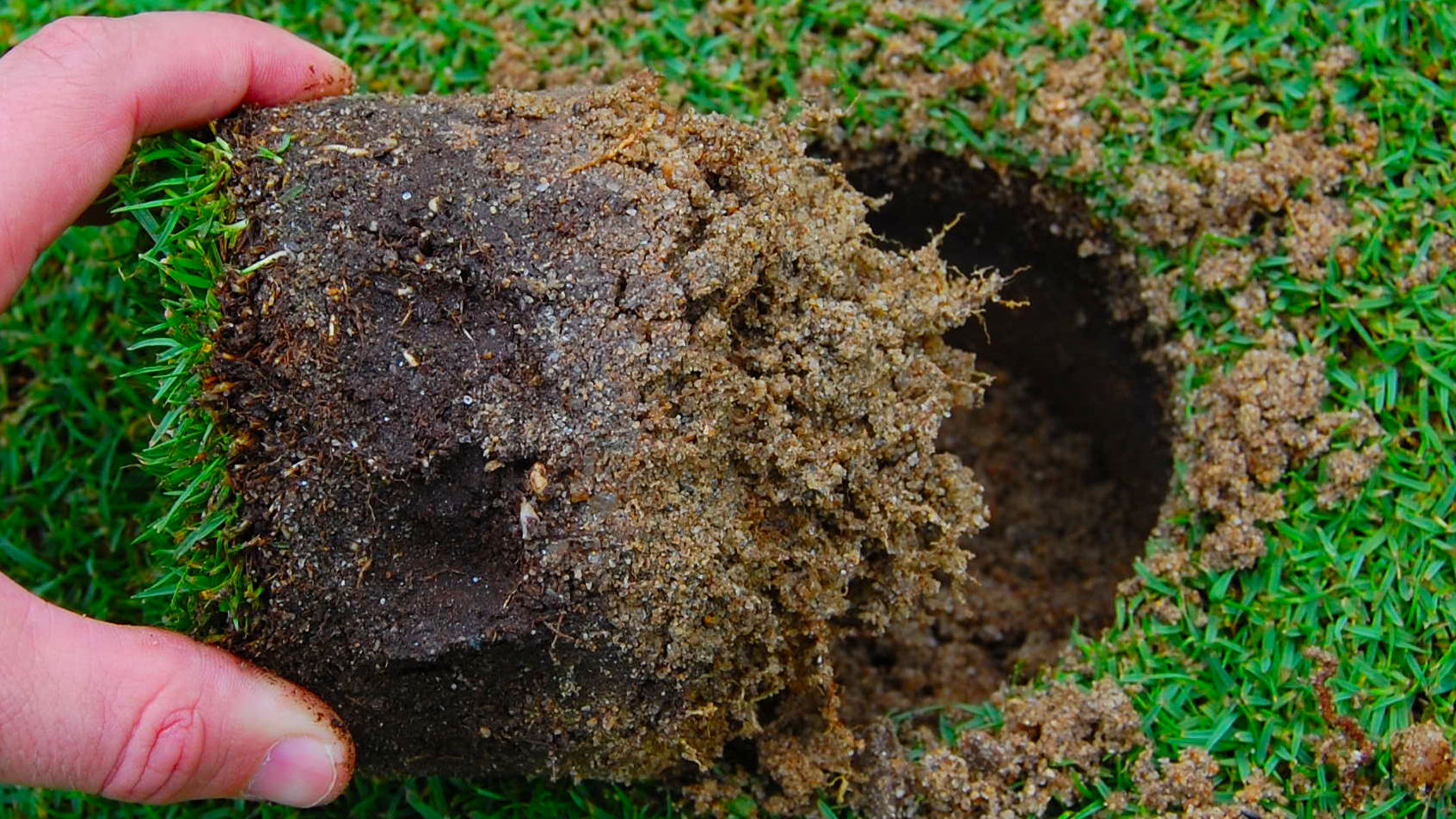 How much organic matter is too much? | Asian Turfgrass Center