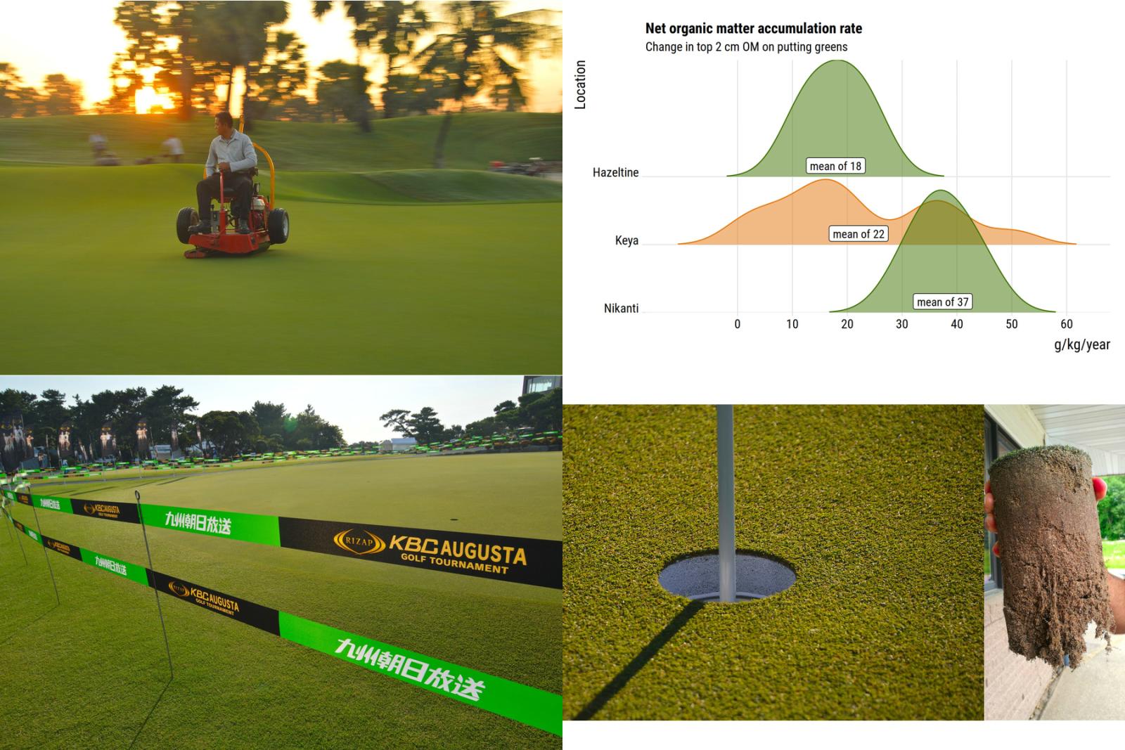 The inexorable rise of soil organic matter | Asian Turfgrass Center