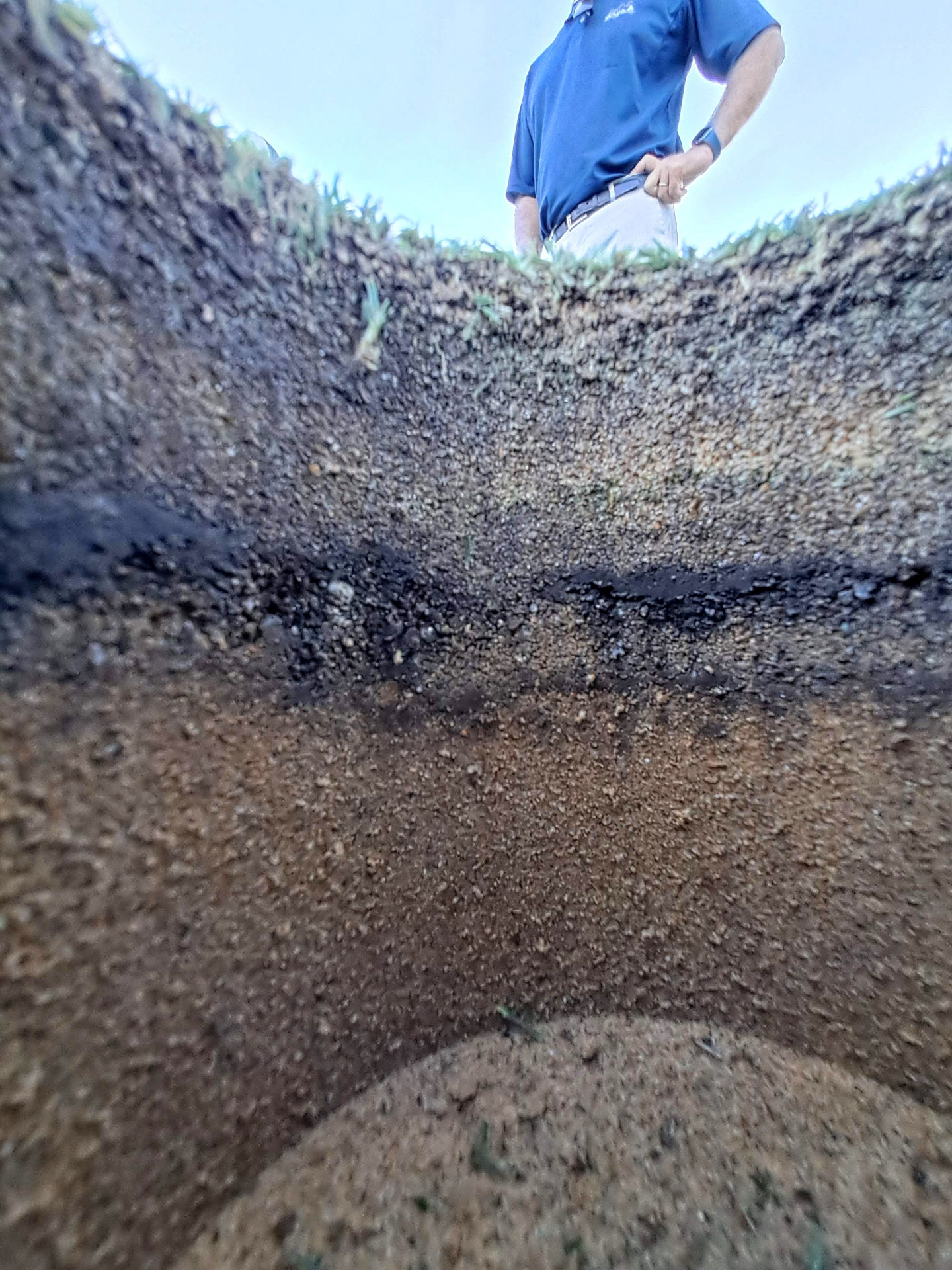 Layers in the rootzone | Asian Turfgrass Center