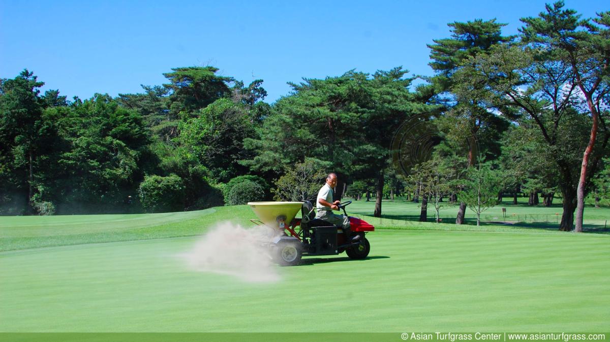 Minimalist turfgrass nutrition | Asian Turfgrass Center