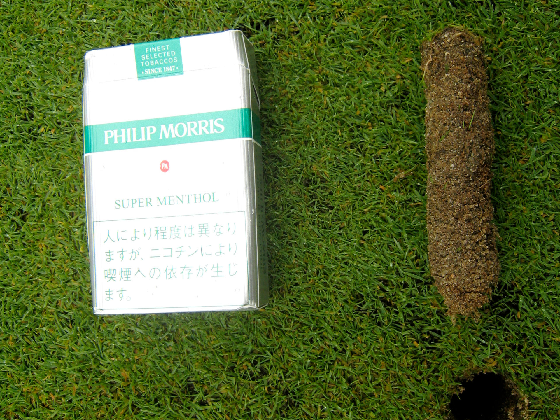 Nitrogen rate as a pendulum swing | Asian Turfgrass Center