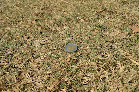 Increasing potassium “may impart a negative effect on drought ...