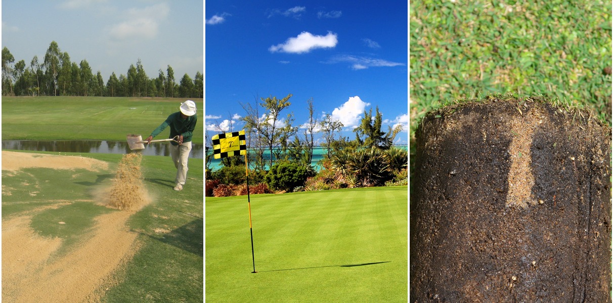 Putting green organic matter by depth in the soil | Asian Turfgrass Center