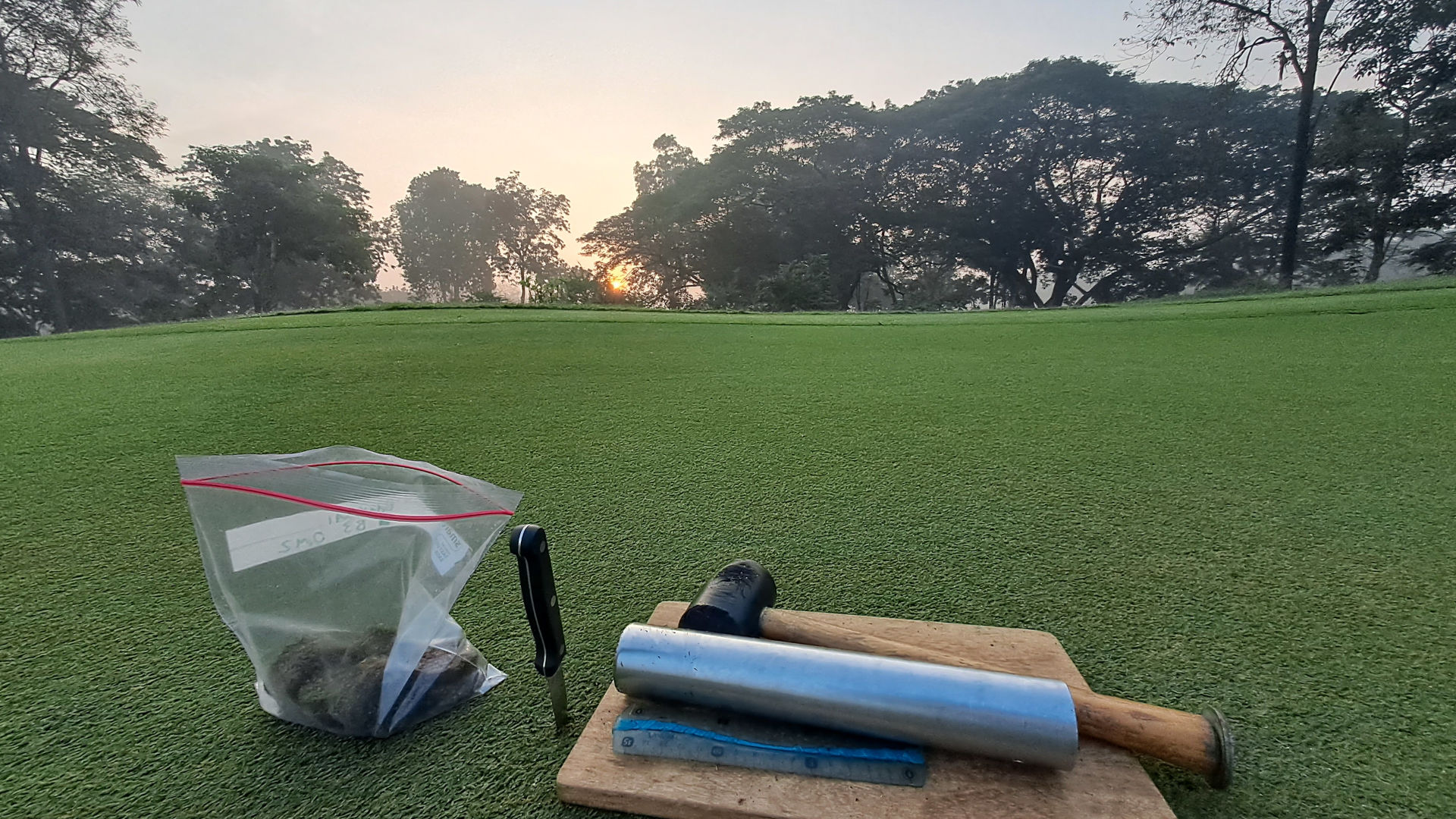 Recommended soil sampling depth for turfgrass | Asian Turfgrass Center