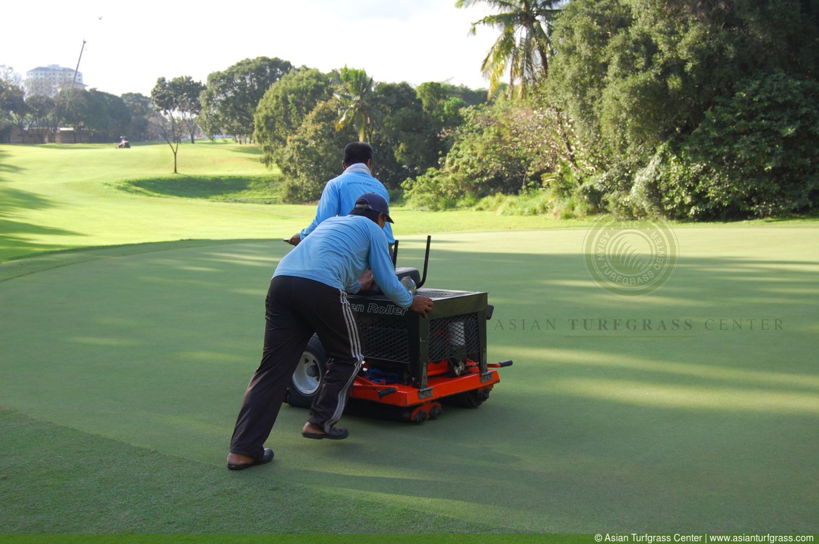 Silica and Green Speed | Asian Turfgrass Center