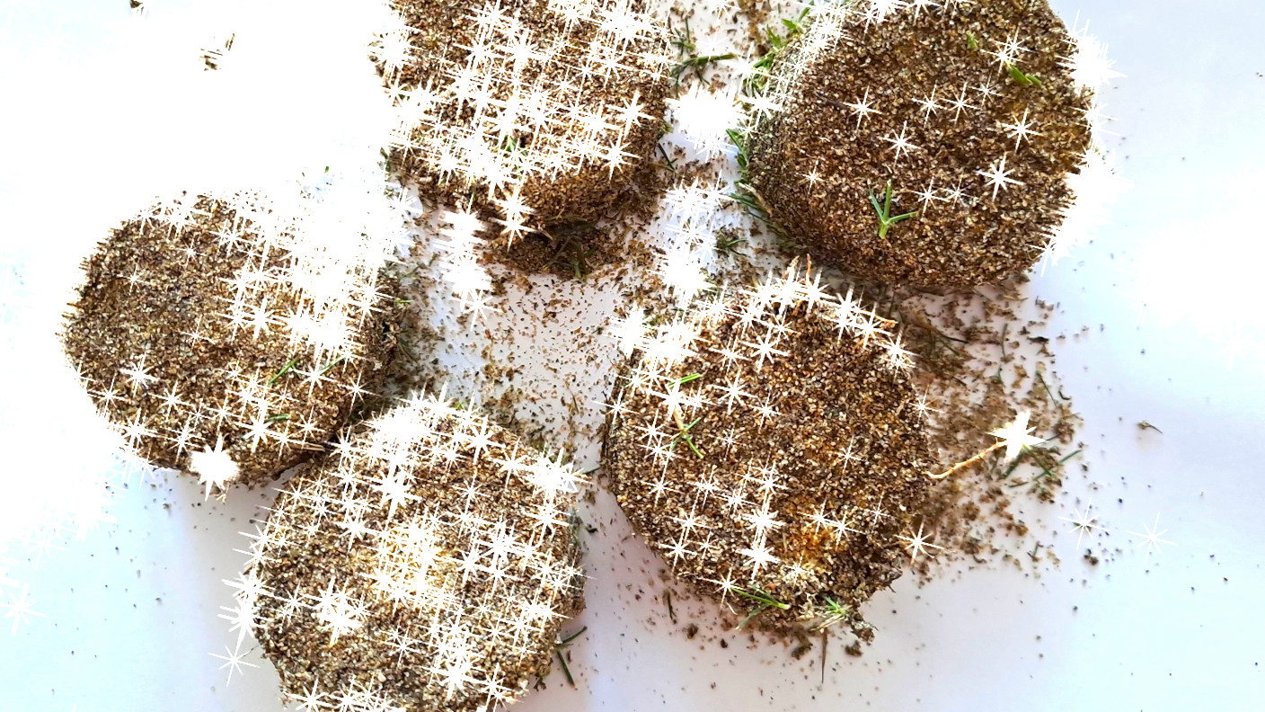 Soil testing on the Cornell Turfgrass Show | Asian Turfgrass Center