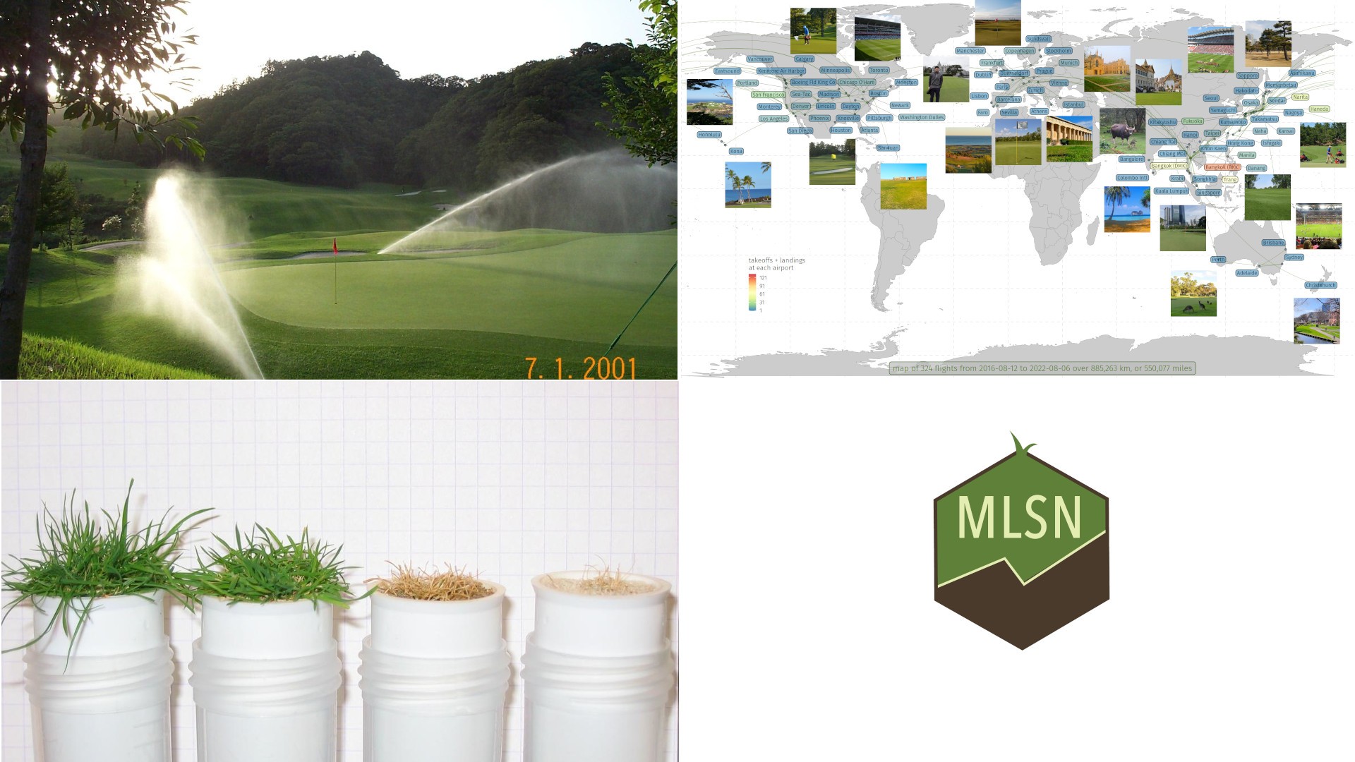 Testing Mlsn Asian Turfgrass Center