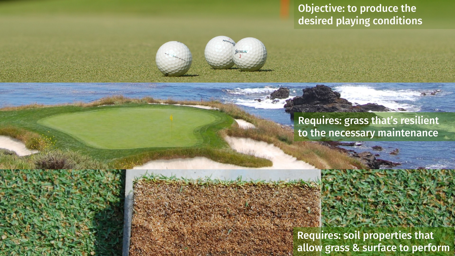 Key things to know about high quality turf surfaces | Asian Turfgrass ...