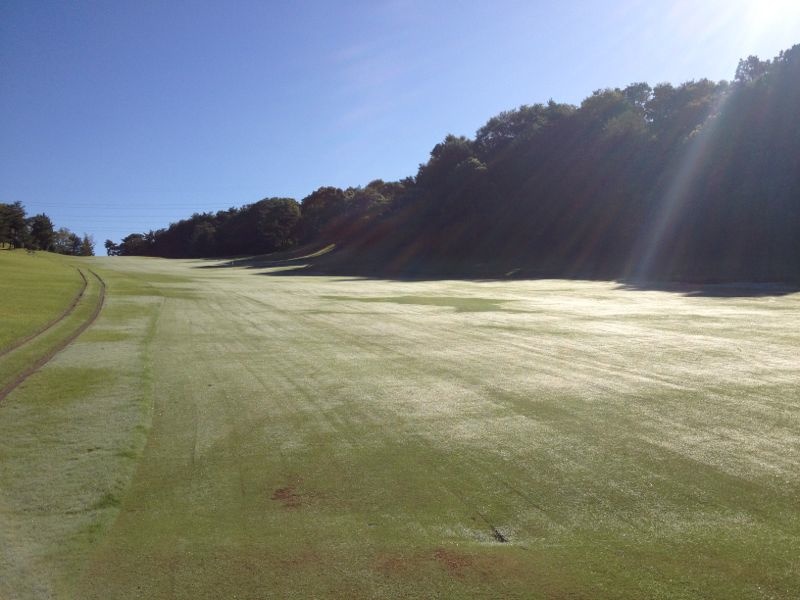 What is causing the splotchy dew pattern on this fairway? | Asian ...