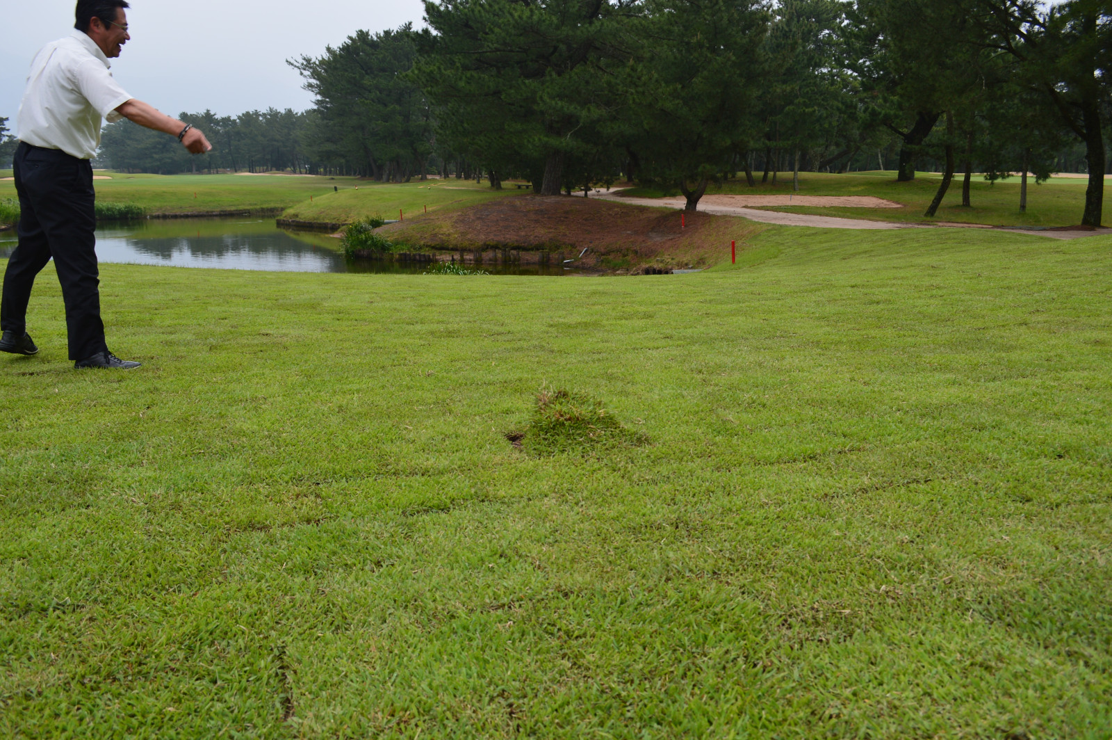 Working backwards in turfgrass maintenance | Asian Turfgrass Center