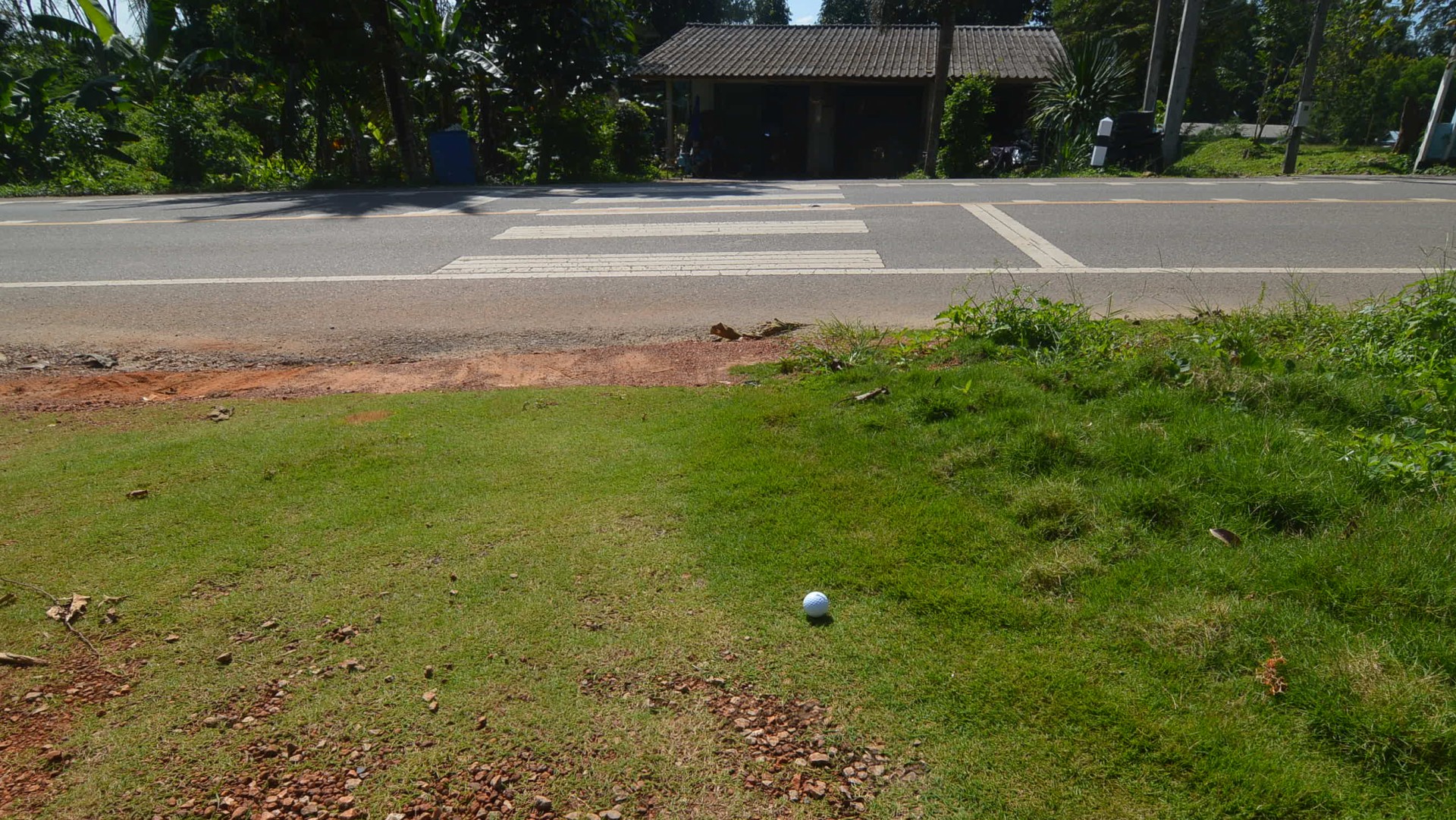 What zoysia driveways in southern Thailand taught me about rolling ...